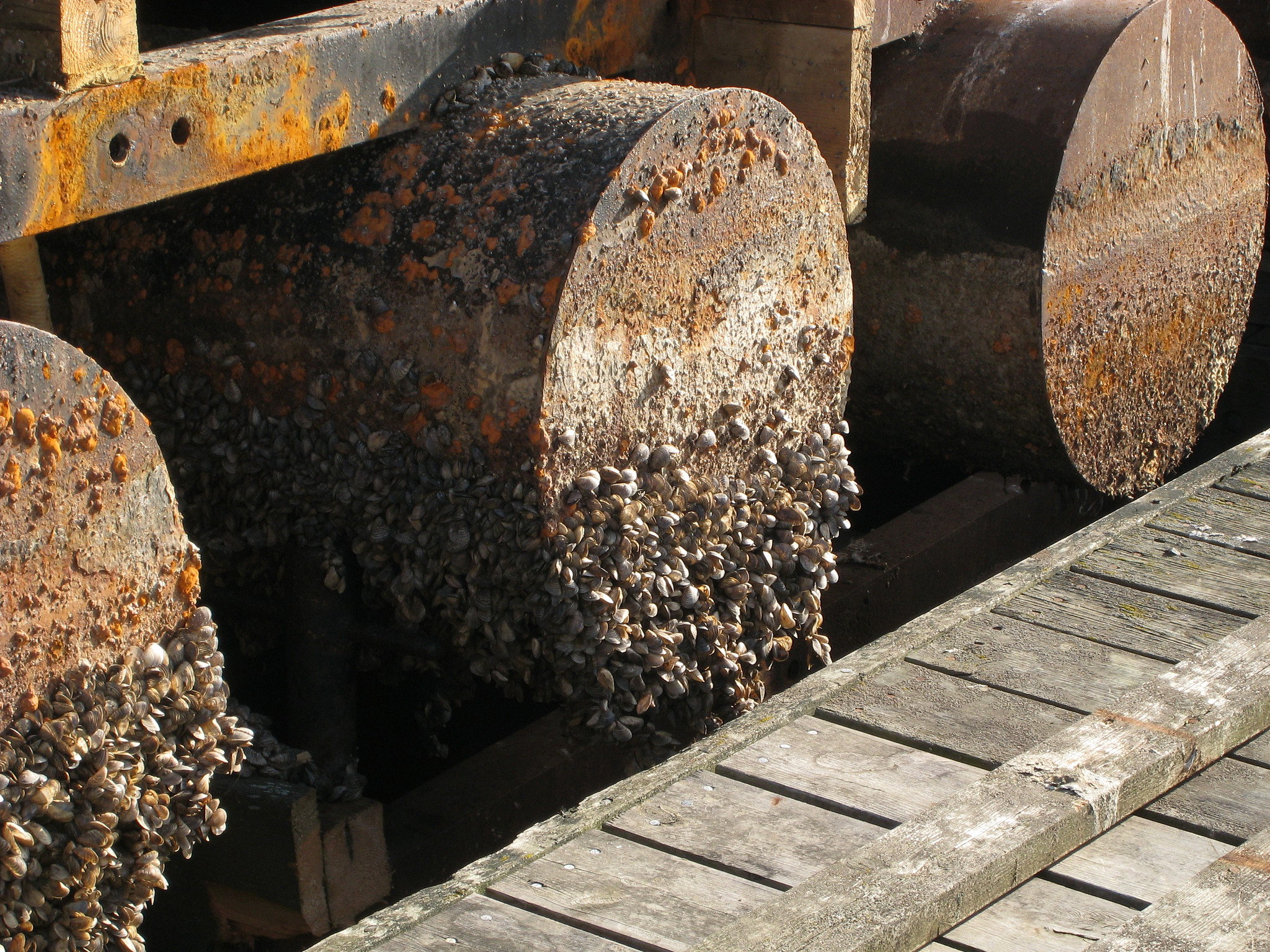 Physical & Natural Environment – Severn Estuary Partnership