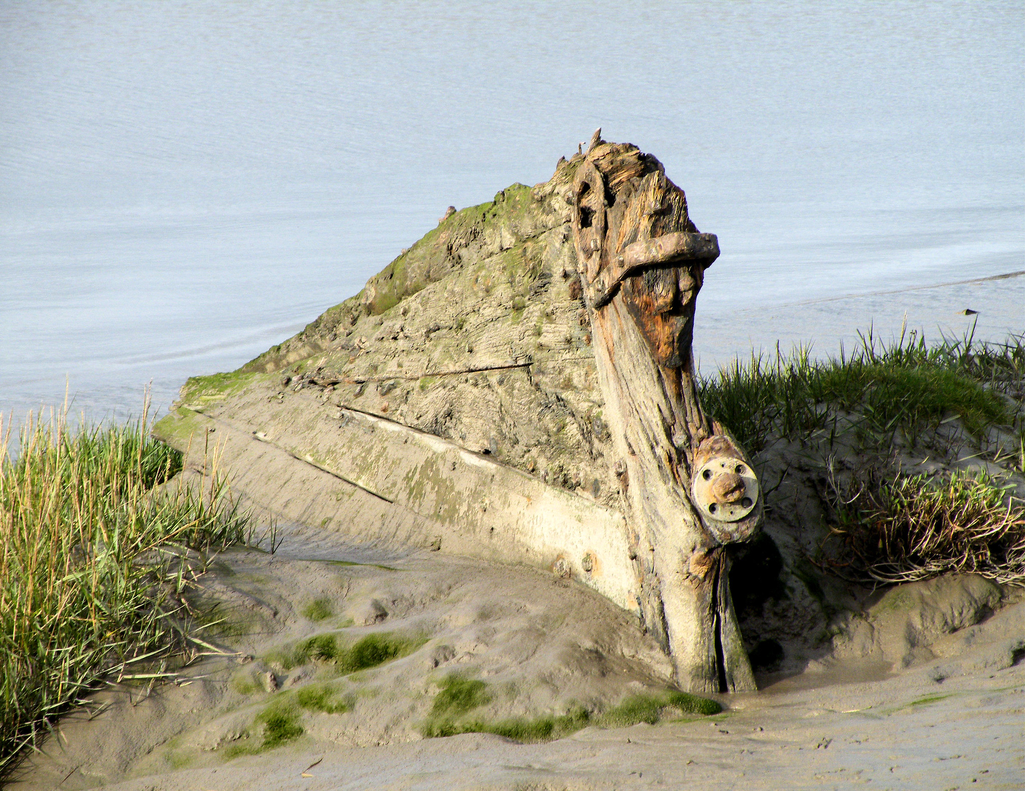 Human Environment – Severn Estuary Partnership