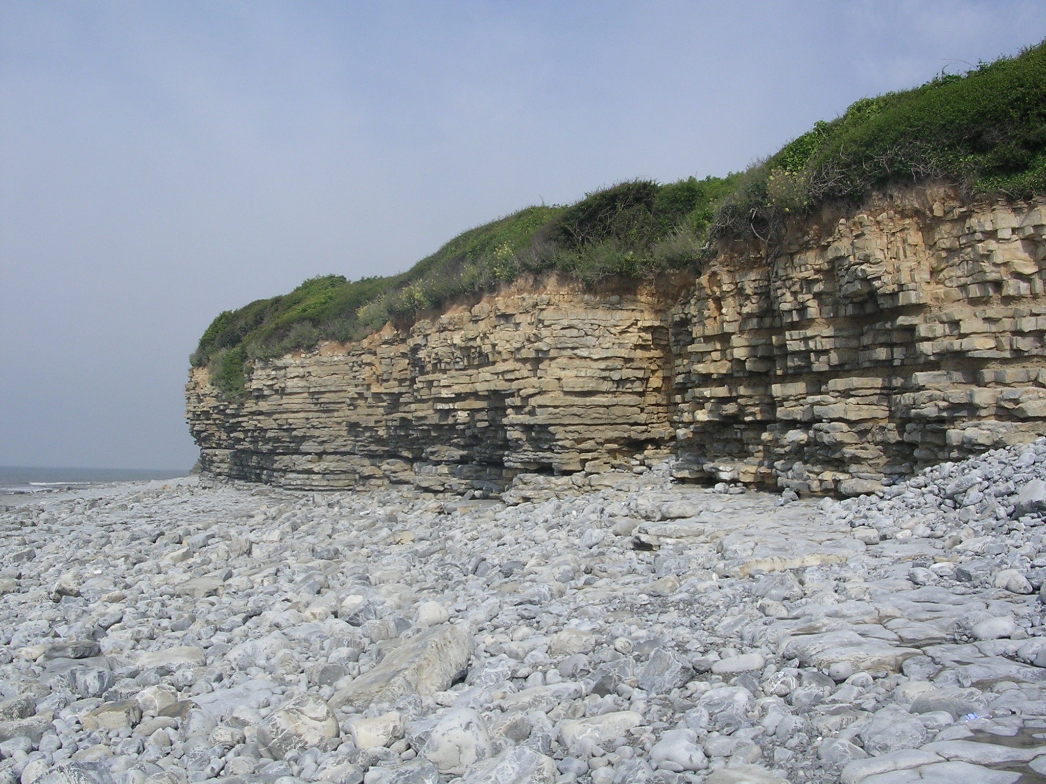The Estuary – Severn Estuary Partnership