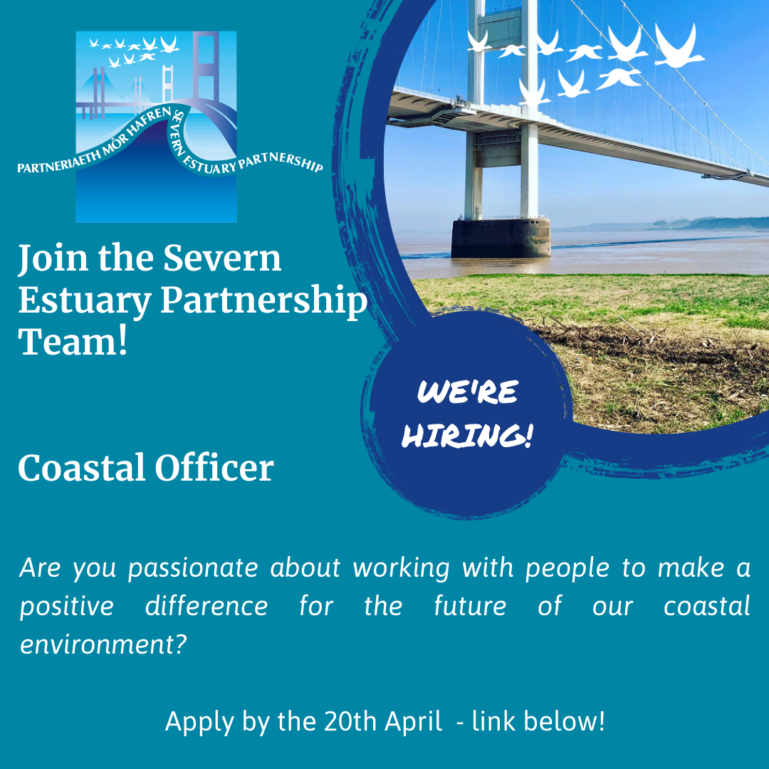 News – Severn Estuary Partnership