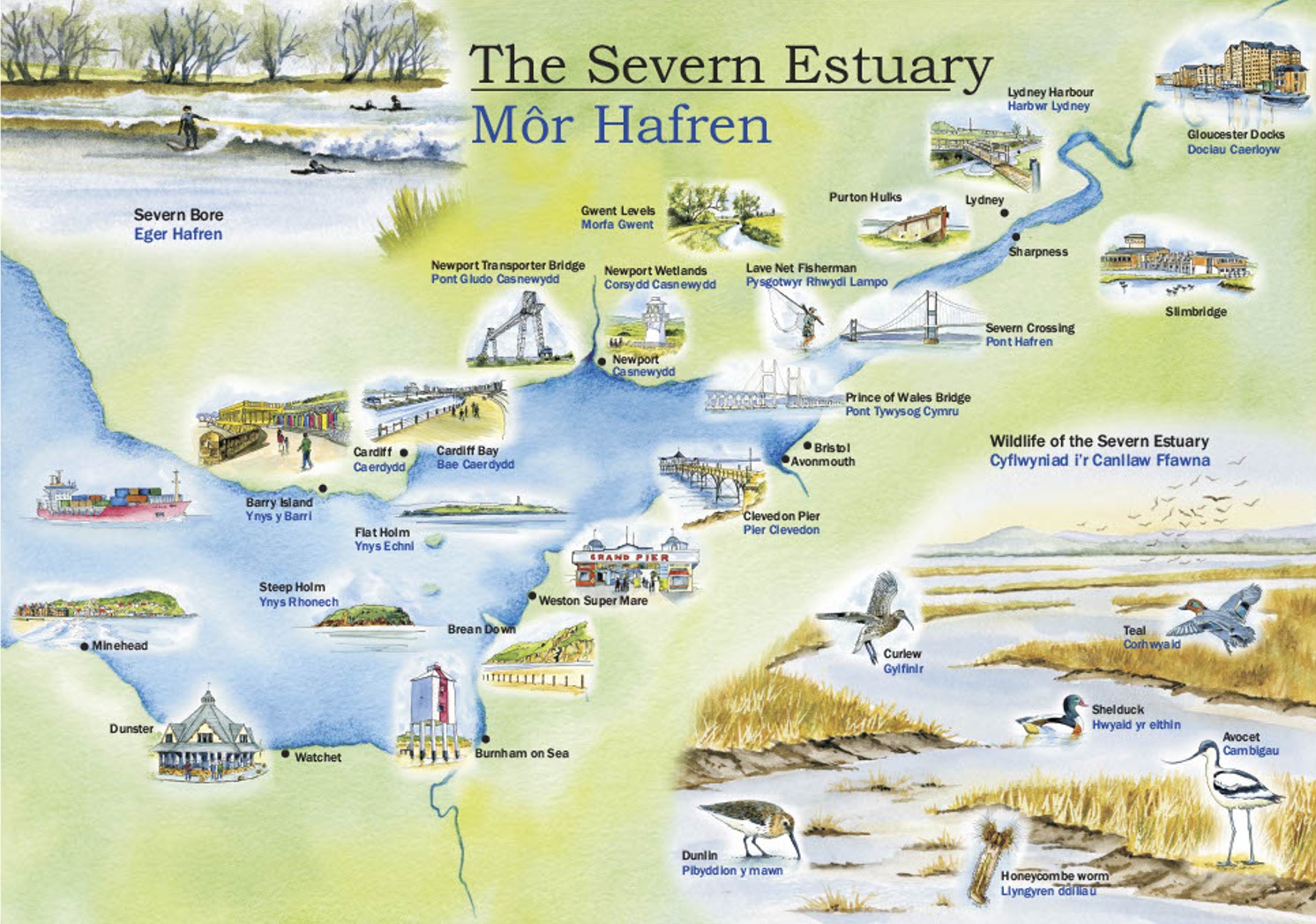 About – Severn Estuary Partnership