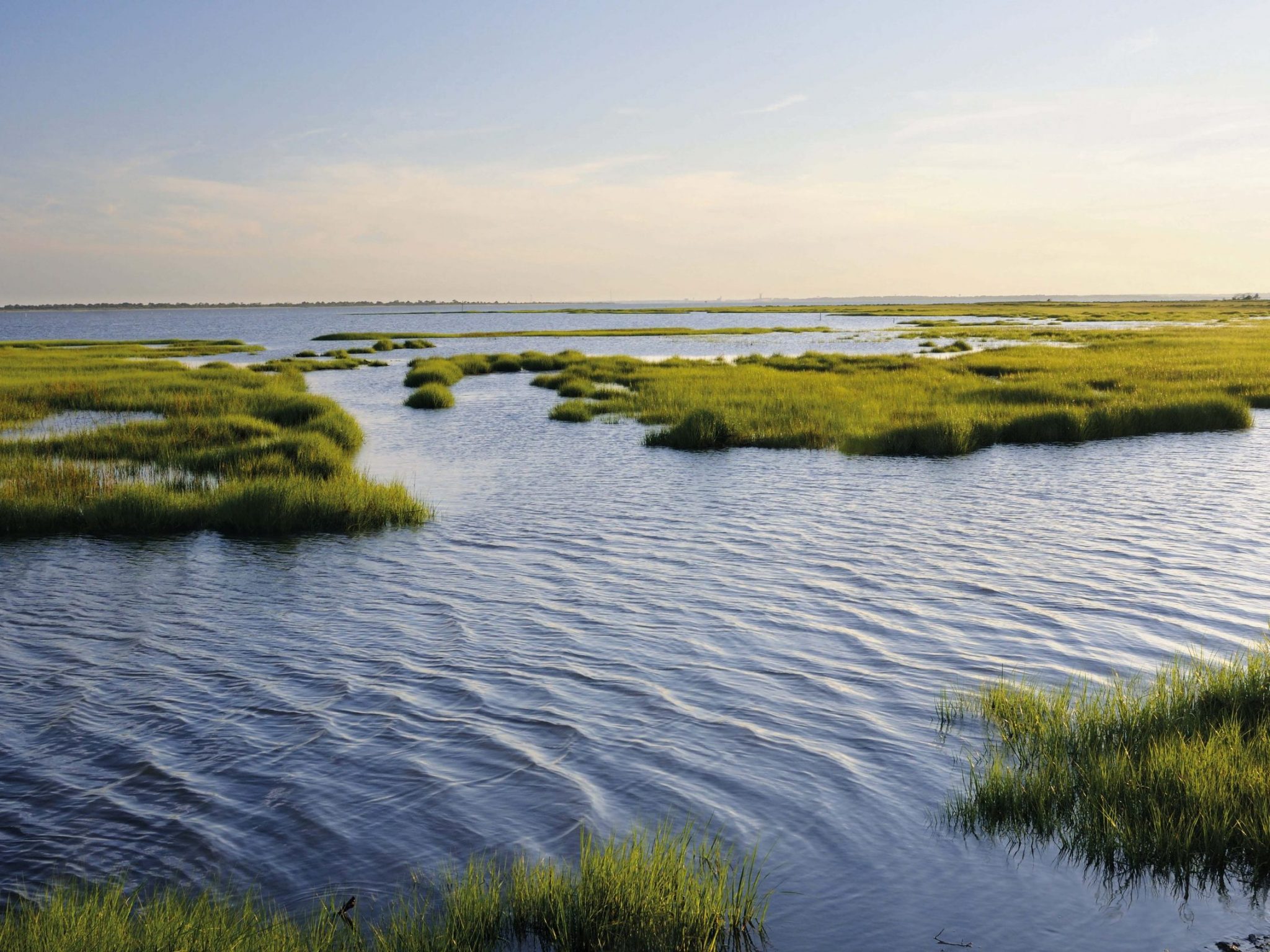 The Estuary – Severn Estuary Partnership