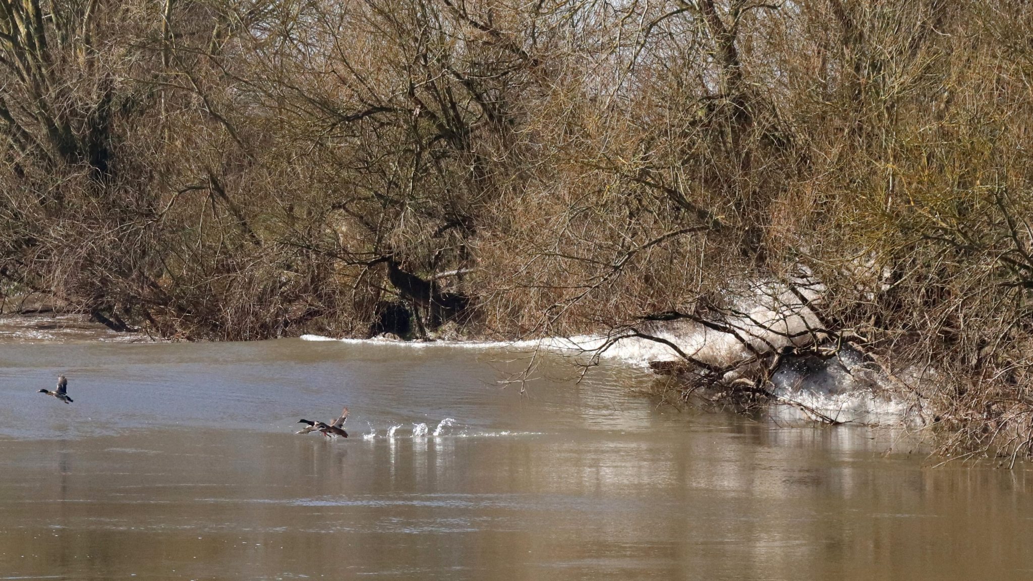 What a Bore! – Severn Estuary Partnership