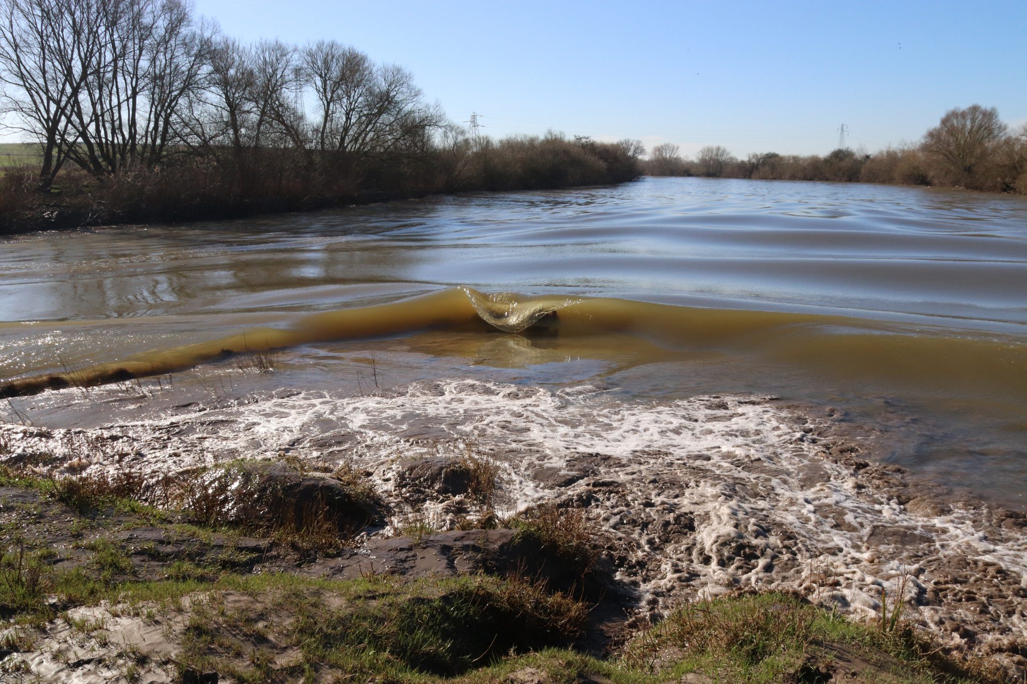 What a Bore! – Severn Estuary Partnership