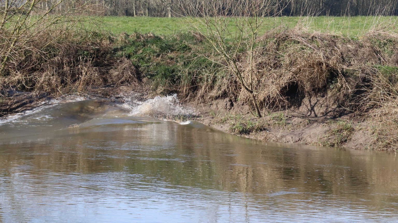What a Bore! – Severn Estuary Partnership