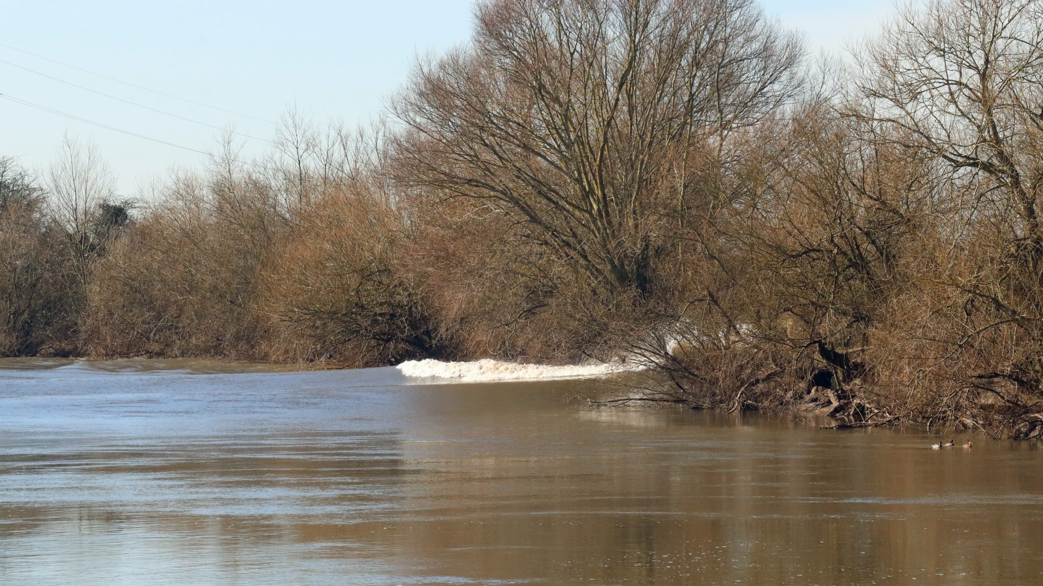 What a Bore! – Severn Estuary Partnership