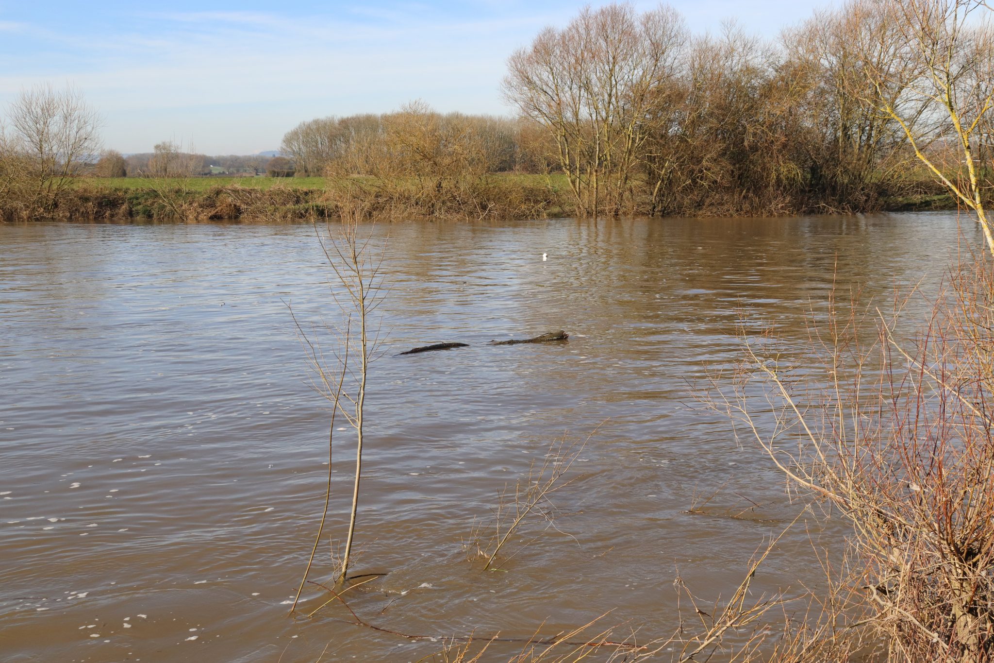 What a Bore! – Severn Estuary Partnership