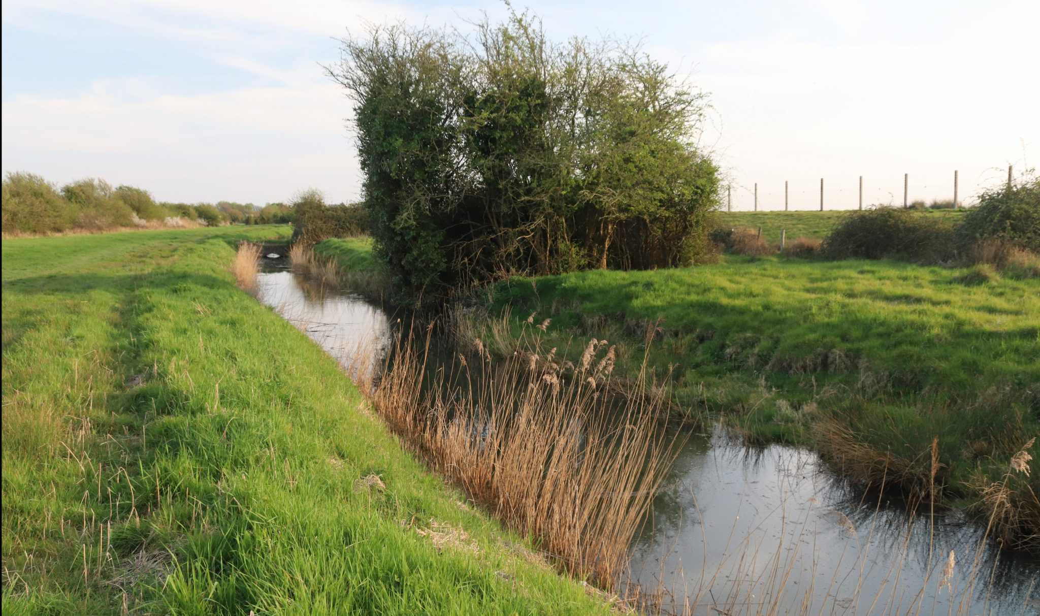 Newport Wetlands – great expectations from a post-industrial landscape ...