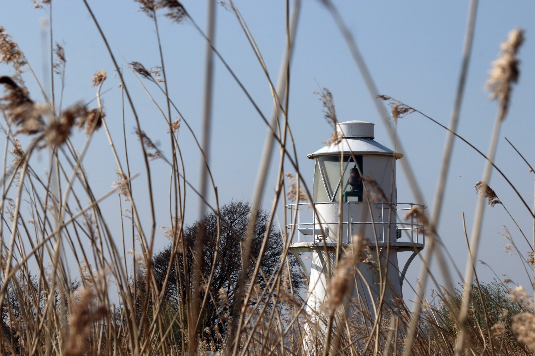 Newport Wetlands – great expectations from a post-industrial landscape ...