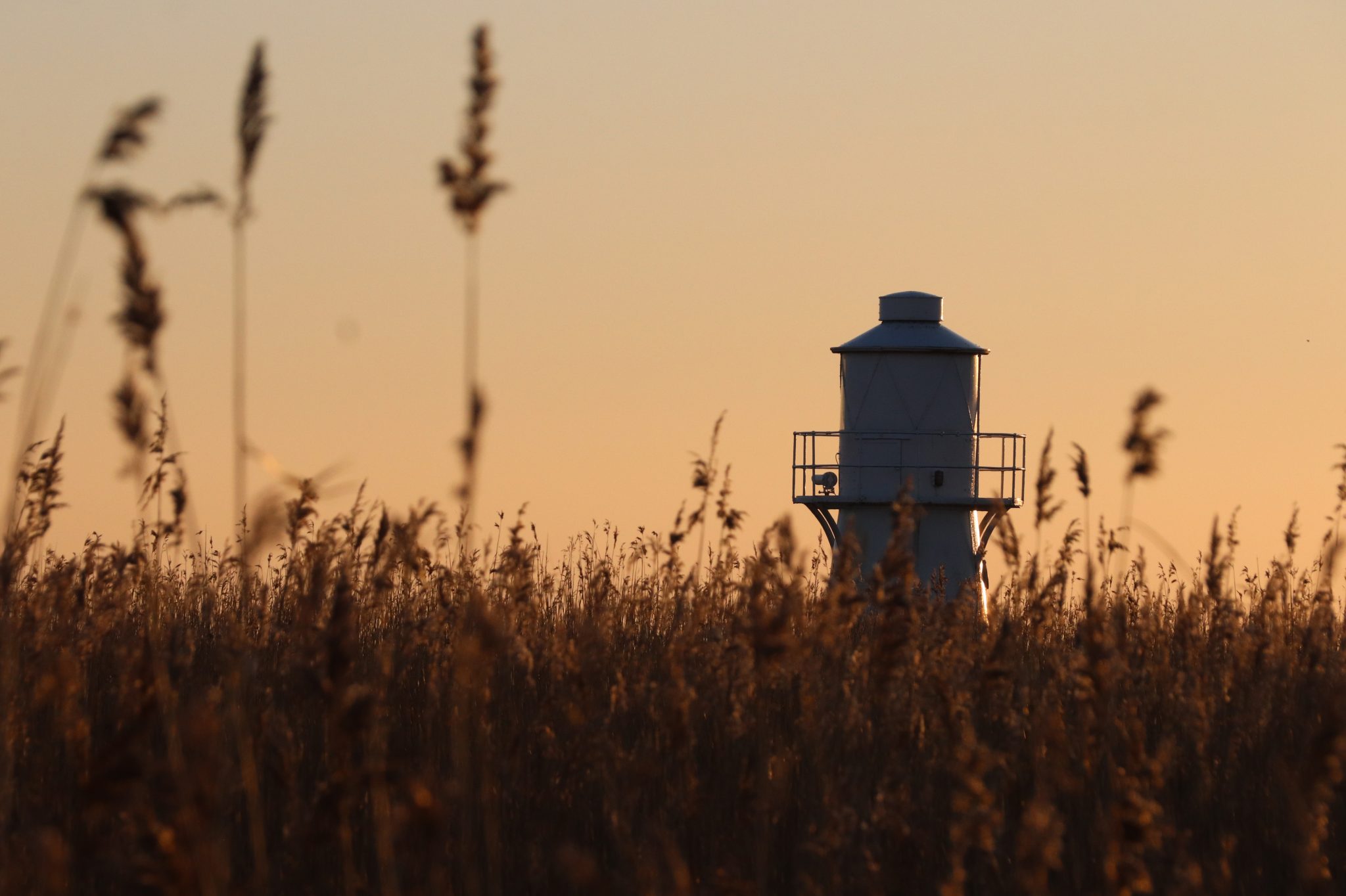 Newport Wetlands – great expectations from a post-industrial landscape ...