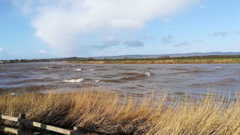 Severn Estuary Partnership – Working in Partnership for the Future of ...